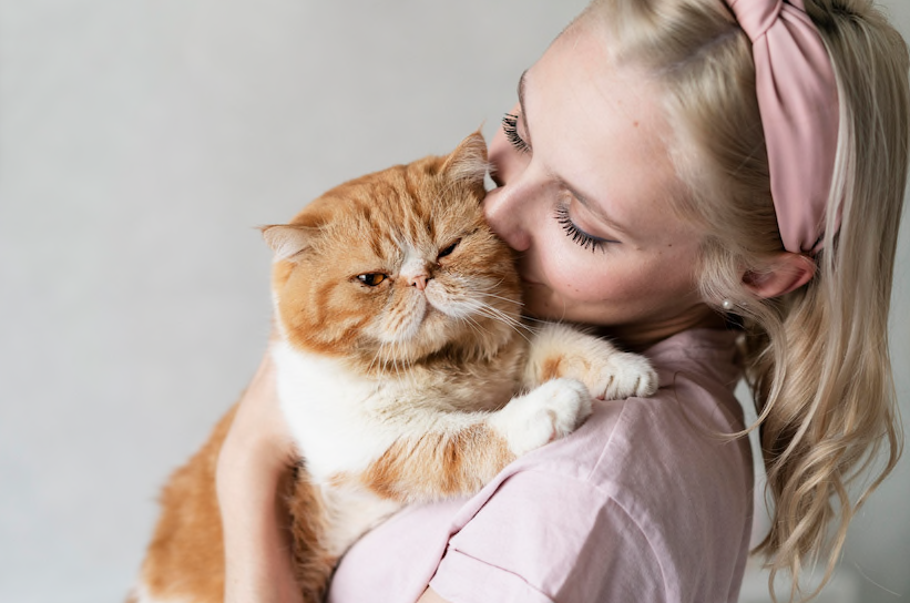 ¿CÓMO MEJORAR LA CALIDAD DE VIDA DEL GATO SENIOR? | Doctora Cats